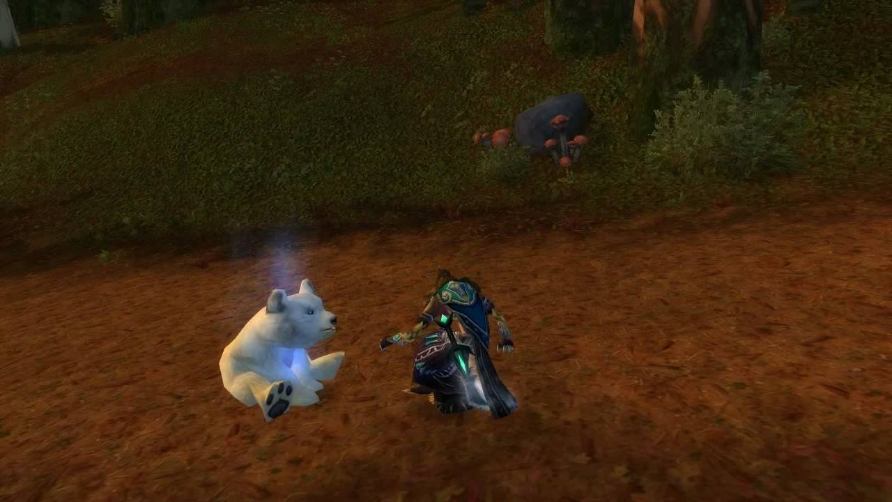 World of Warcraft Mini-Pet: Baby Blizzard Bear - YouTube