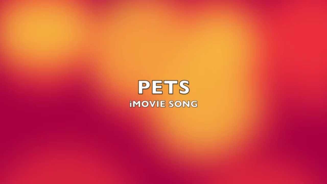 Pets | iMovie Song-Music - YouTube