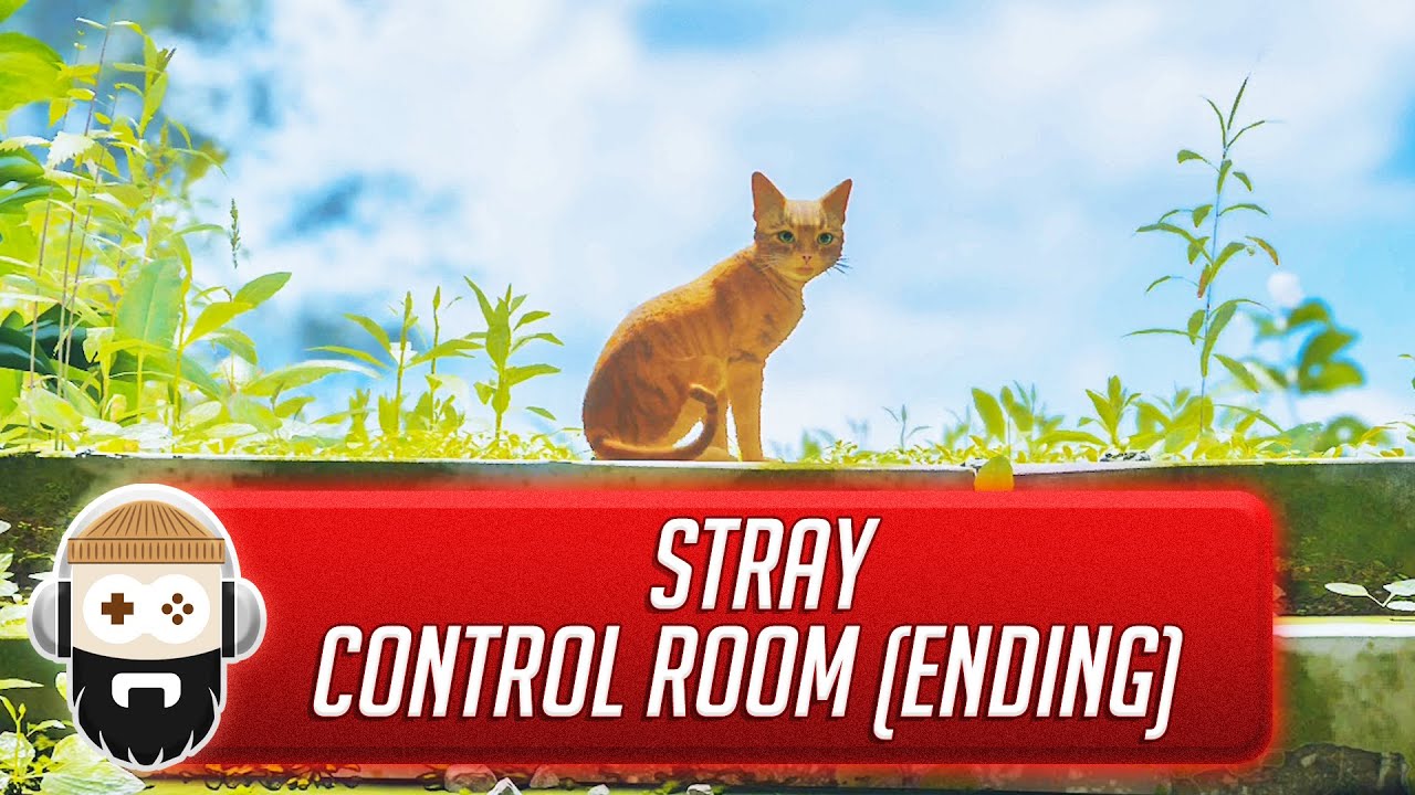 Stray - Control Room (Ending) [Walkthrough] - YouTube