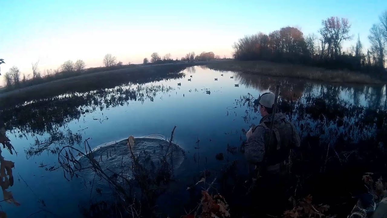Arkansas Greenhead & Goose Hunt 2015 - YouTube