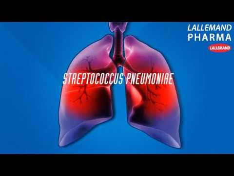 Aetiology of Lower Respiratory Tract Infections (LRTI) - YouTube