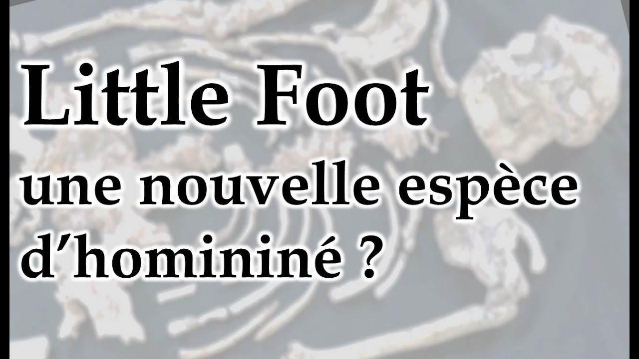 FAQ: Little Foot, Australopithecus prometheus - YouTube