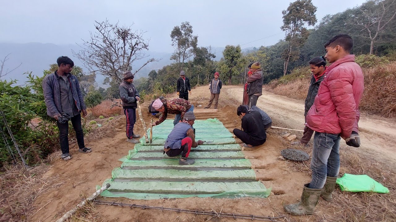 village gathers and makes a pole for the kibi very hard work in the ...