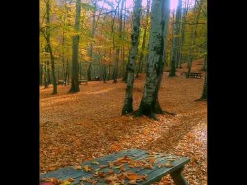 Muhteşem Ses !!! Ibrahim Erkal - Vefasızları Seslendiriyor.