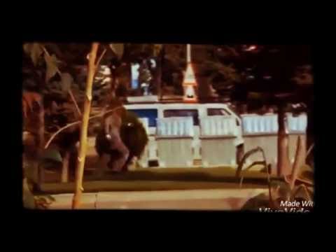 Merve Akaydın & Mehmet Korhan Fırat