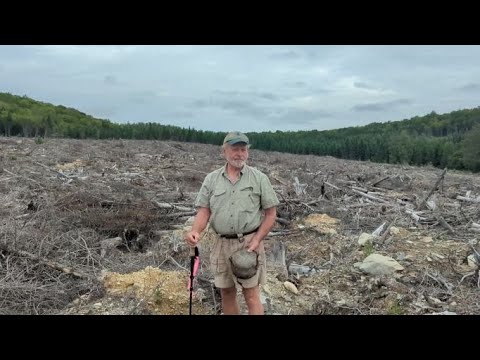 Production Forestry in Northern Maine I - site preparation and planting ...