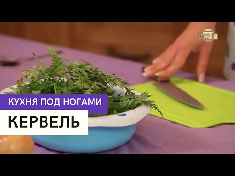 Кервель \\ Кухня под ногами