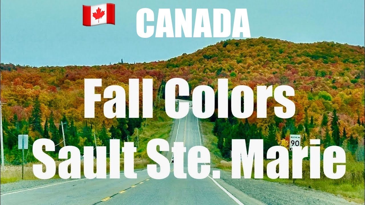 Agawa Highway Fall Colors Sault Ste. Marie Ontario Canada 4K Driving ...