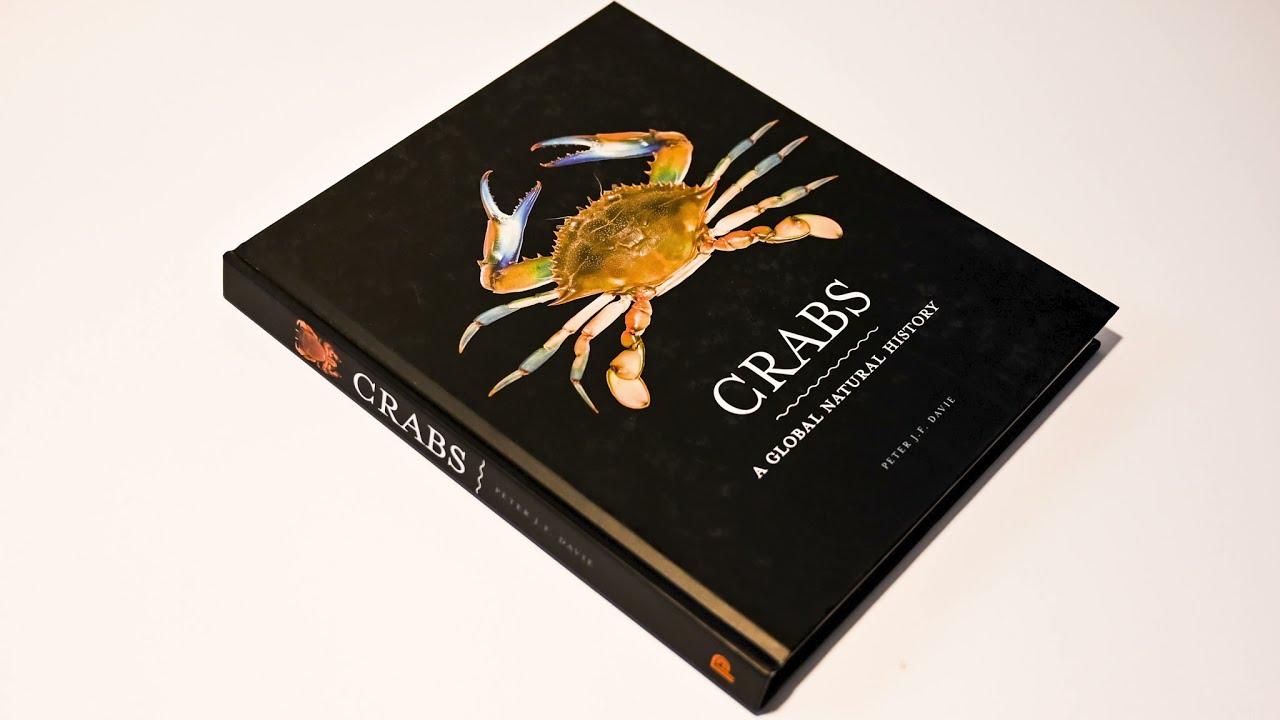Crabs: A Global Natural History - YouTube