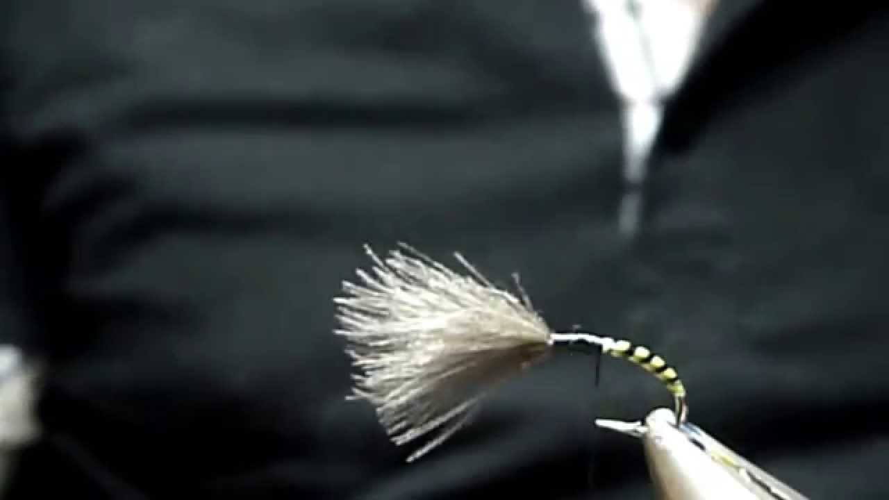 yellow owl - YouTube