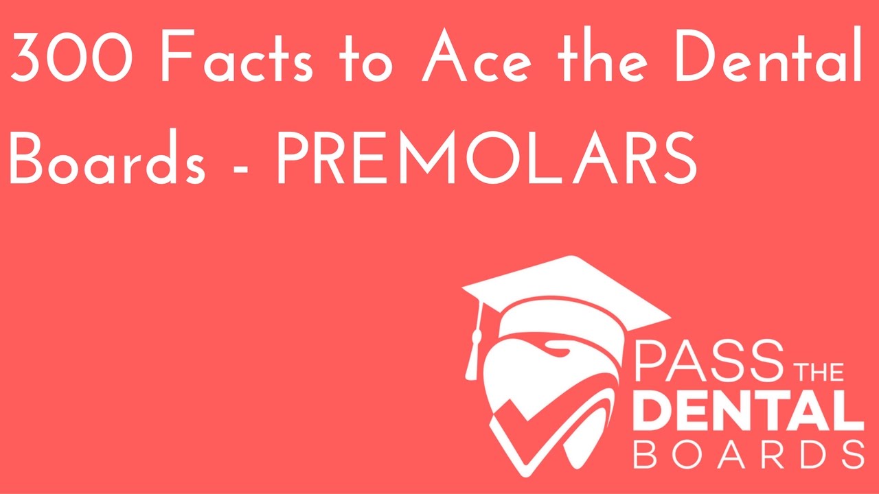 300 Dental Anatomy Facts PART 4 - PREMOLARS - NBDE Part 1 - YouTube