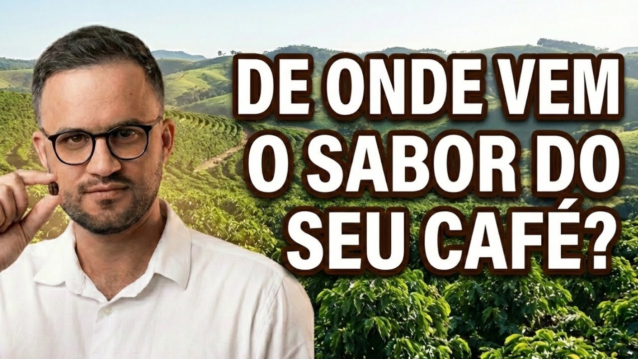 Descubra o Segredo do Café Perfeito: Do Produtor à Xícara! - YouTube
