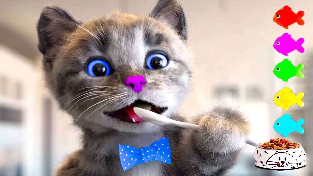 LITTLE KITTEN ADVENTURE AT SCHOOL - CUTE KITTY AND EDUCATIONAL VIDEO ...