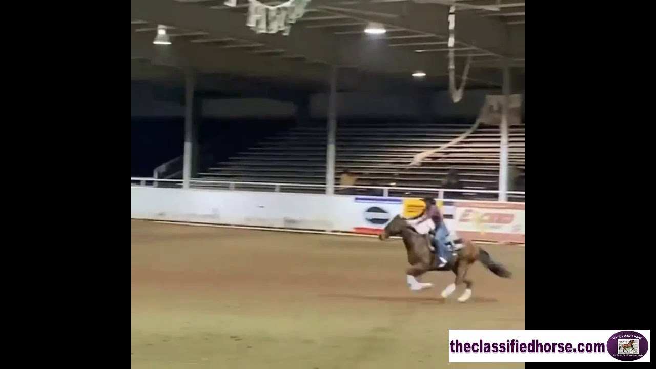 January 9th, 2021/Winning Barrel Run/Buckeye, AZ/Casey Mathis - YouTube