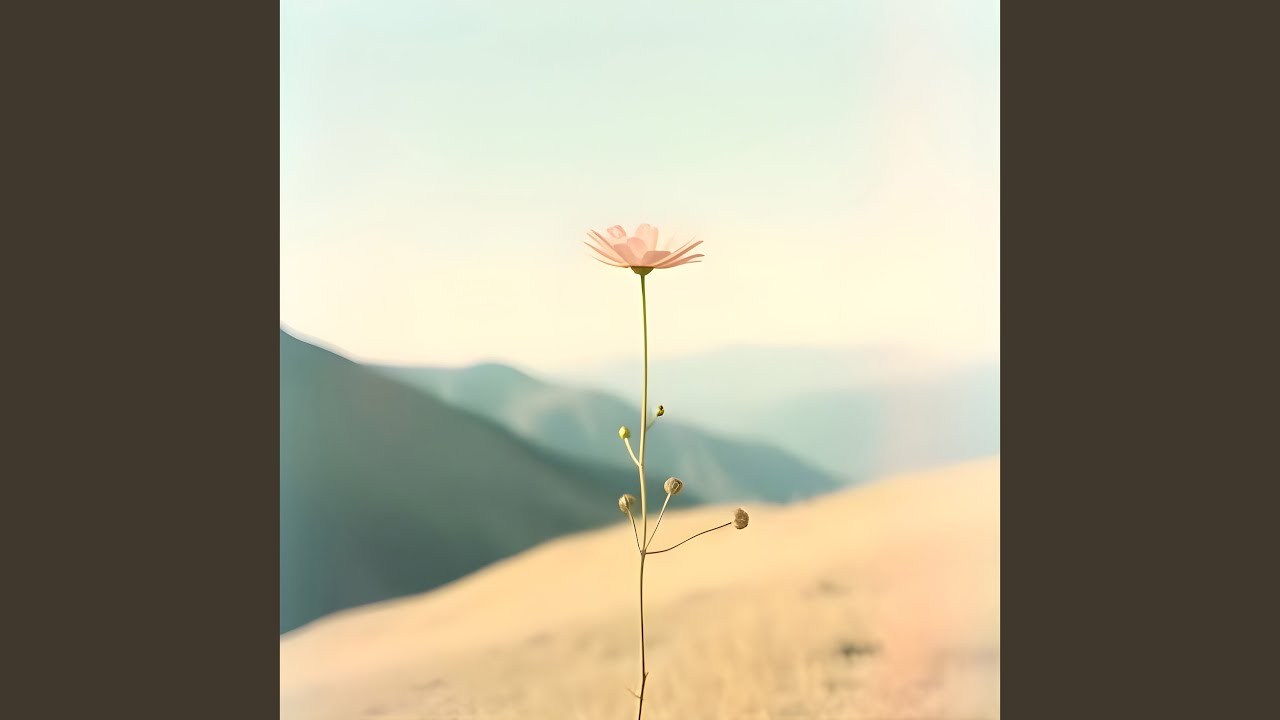 Echo Bloom - YouTube