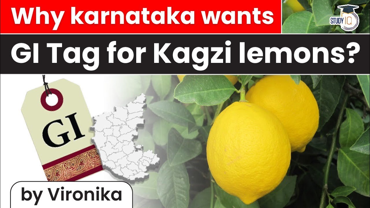 Why karnataka wants GI Tag for Kagzi lemons? Karnataka PSC | UPSC GS ...