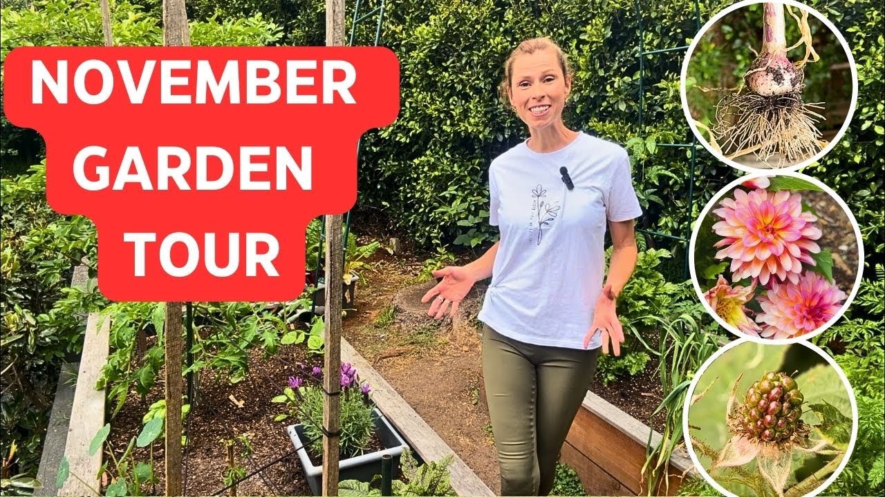 NOVEMBER Vegetable Garden Tour - Plus what to plant now! Spring ...