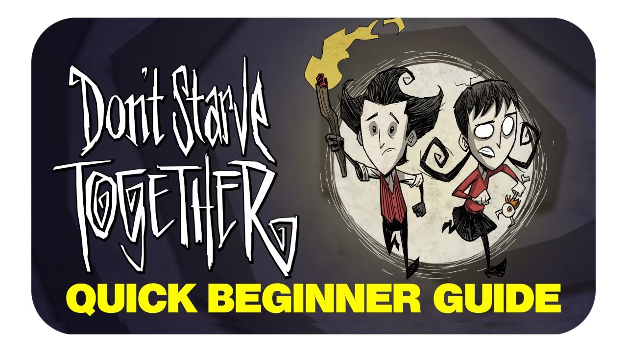 Beginner Guide Day 1-10 Or Less Don't Starve Together - YouTube