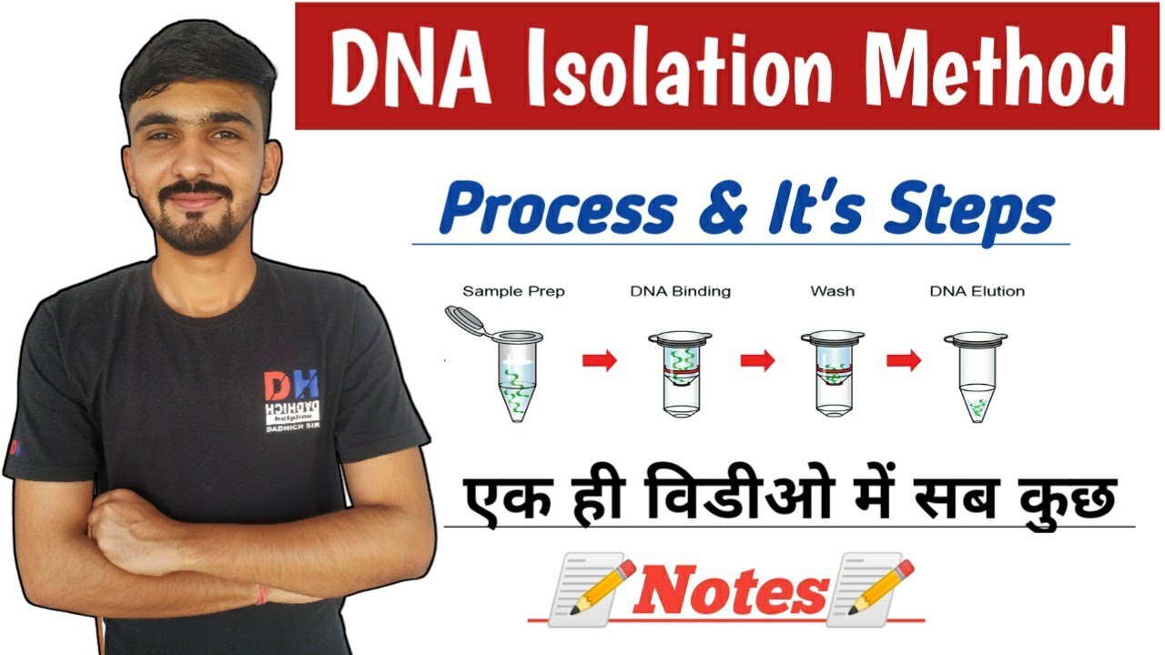 DNA Isolation Method In Hindi || Biotechnology || DNA Isolation || By ...