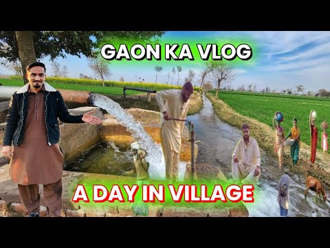 A DAY IN VILLAGE WITH UMER RAJA | Pakistan | VLOGS Islamabad - YouTube