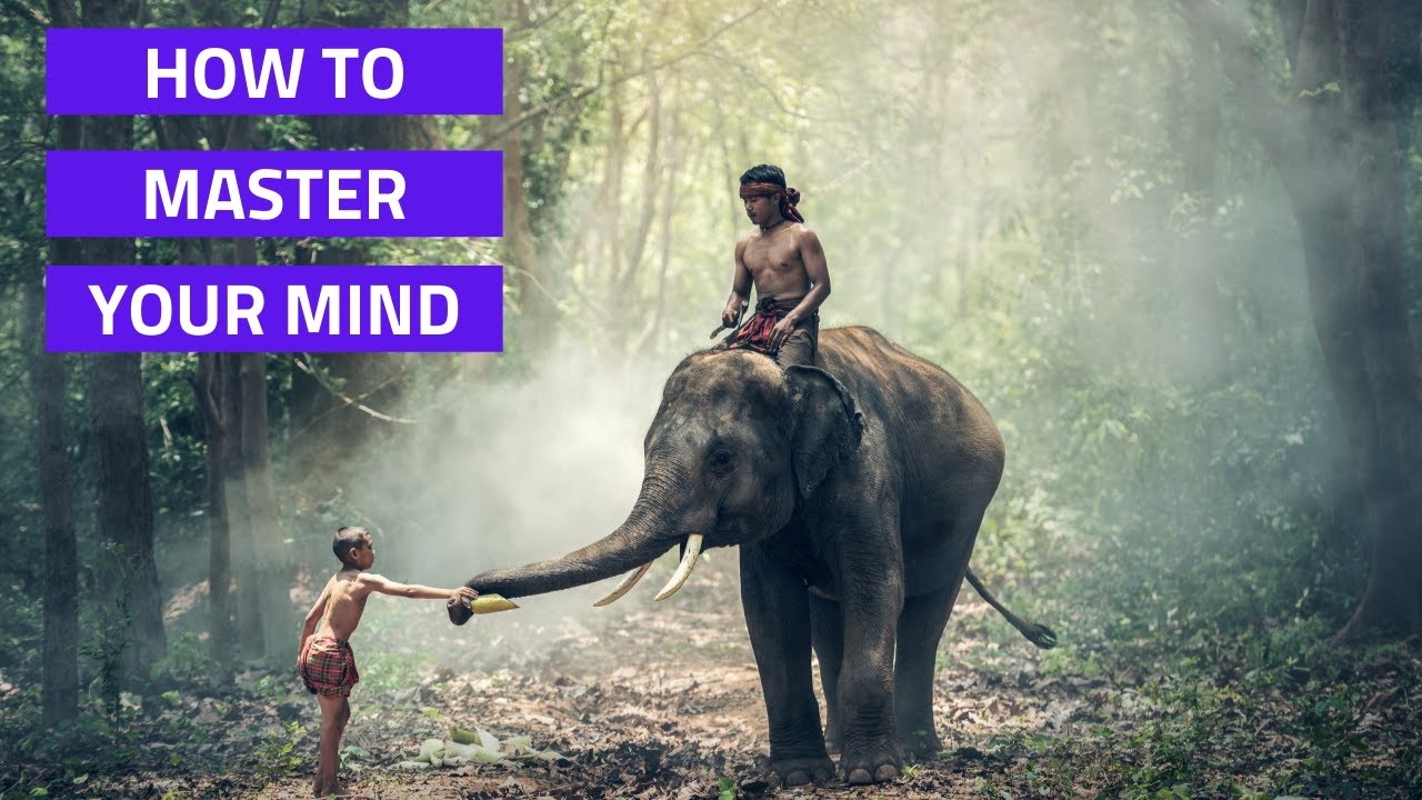 HOW to MASTER YOUR MIND: The elephant and the rider - YouTube