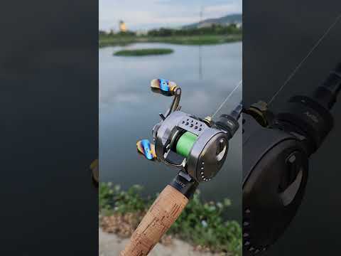 I love this combo, Megabass Triza Aello and Shimano Calcutta Conquest BFS...