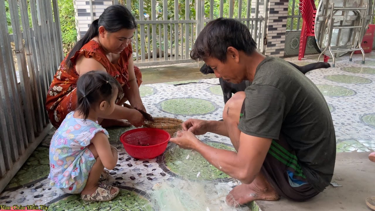 Xách lưới dăng Cá Lòng Tong Về Kho Khô, Canh Chua Cá Hú bên mâm cơm nhỏ/ NCMT 21 - YouTube