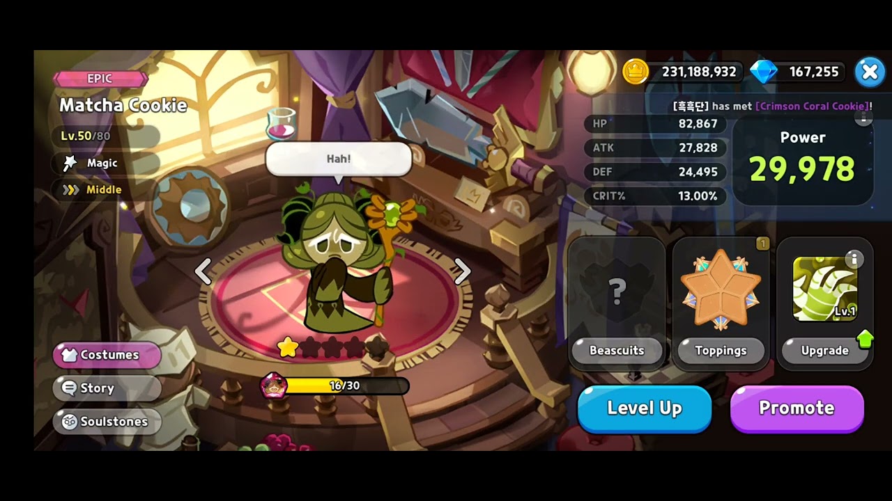 Matcha Cookie Voice Over Dub (English Japanese Korean Thai Chinese ...