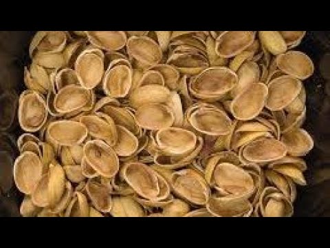 Pista shell 5 crafts - YouTube