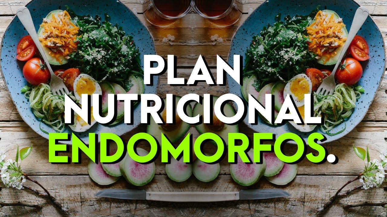 Como crear un PLAN DE NUTRICIÓN para ENDOMORFOS - Gana masa muscular o ...