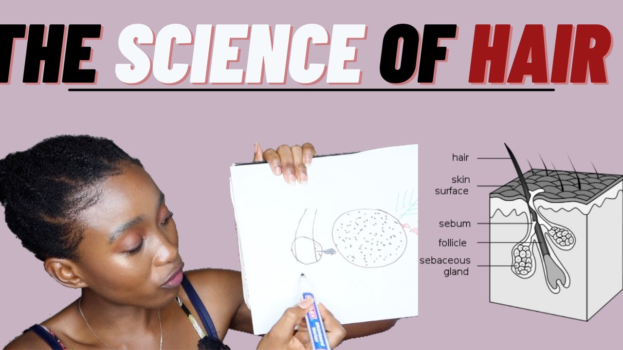 The Science of Hair: Lets First Understand then we can REACH GROWTH ...