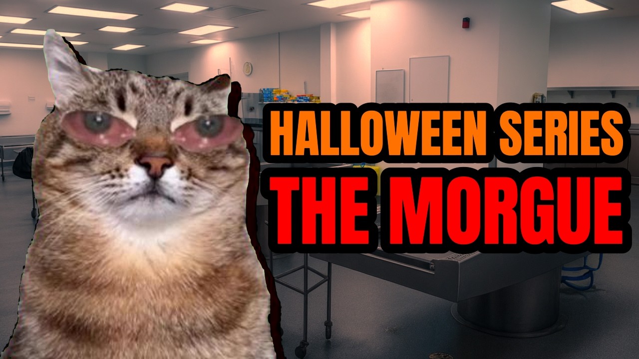 CAT MEMES: WELCOME TO THE MORGUE | HALLOWEEN ROADTRIP SPECIALS - YouTube