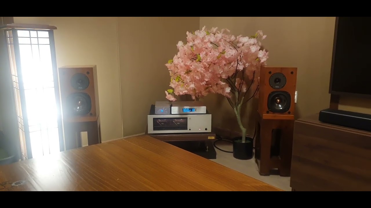 Remembering Catfish Collins - YouTube