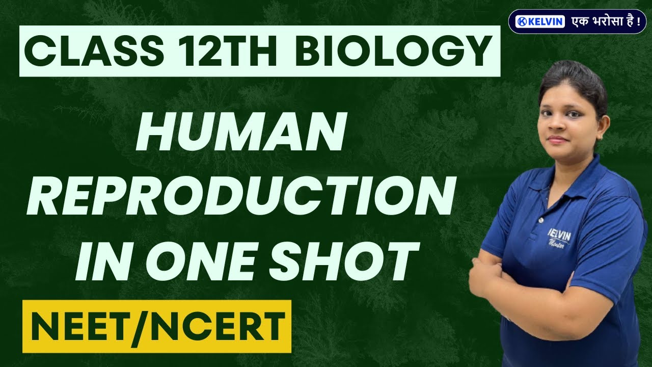 Human Reproduction - One Shot | Class 12 Biology Ch - 2 | NCERT | NEET ...