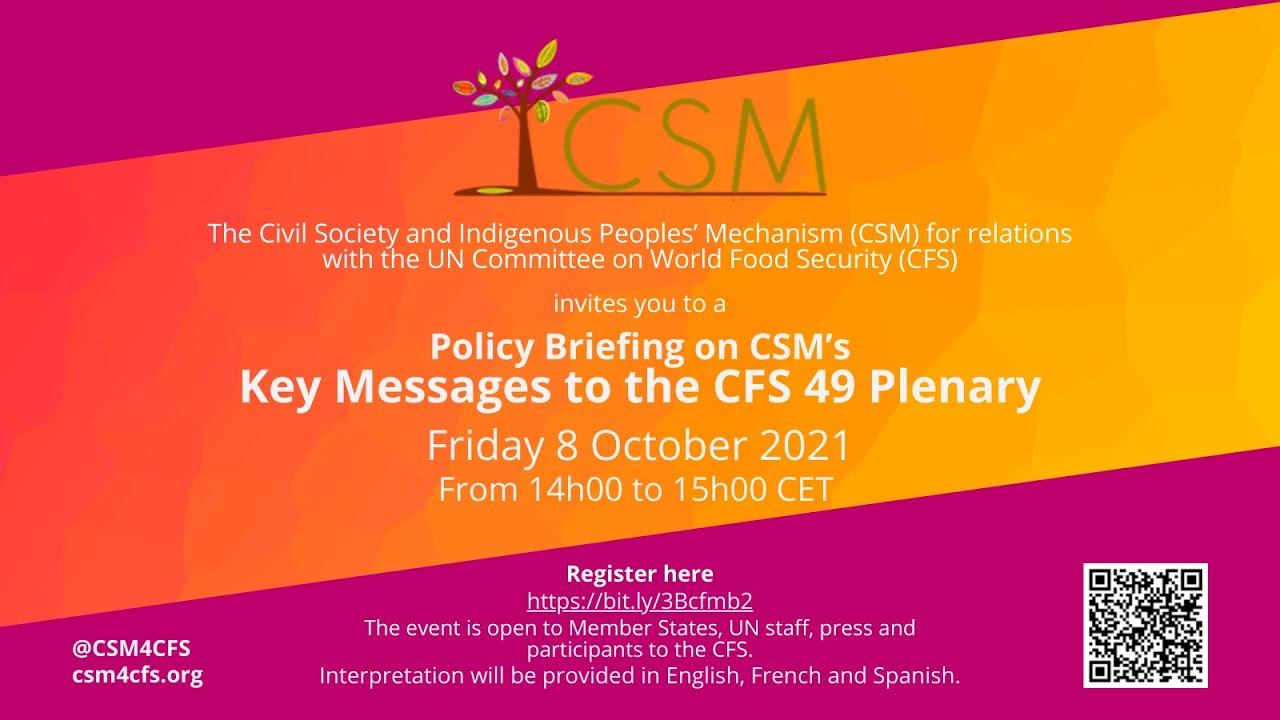 Key messages to the CFS 49 | Policy Briefing - YouTube