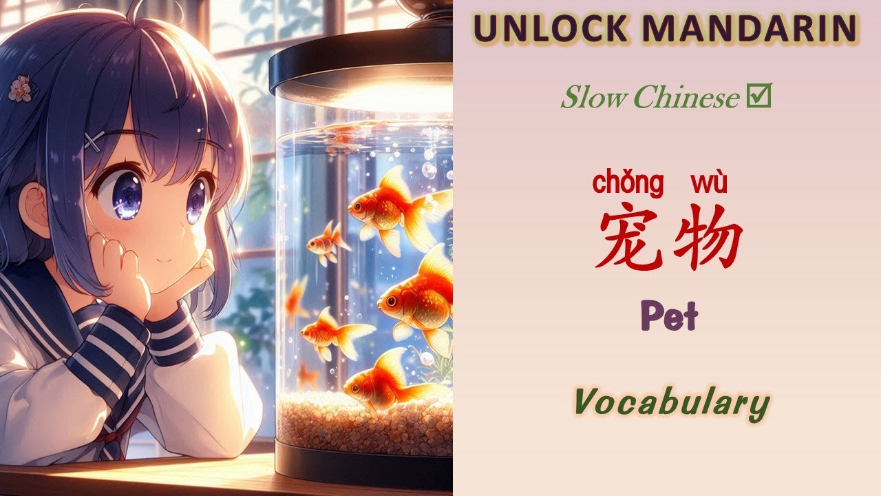 宠物| Pet| Chinese Vocabulary| Slow Chinese| Mandarin Phrases |Unlock ...