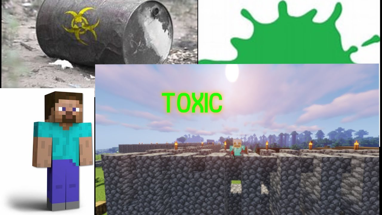 PLAYING ON THE MOST TOXIC MINECRAFT SERVER EVER!??| MINEWIND - YouTube