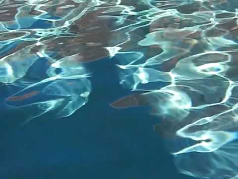 Light Reflections in the swimming pool with shadow in Scottsdale, AZ ...