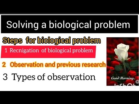 biological method| steps for in solving a problem|observation method ...