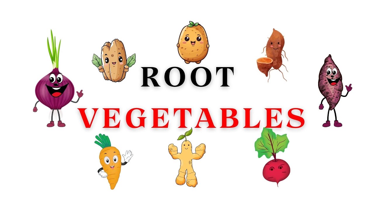 Root vegetables and leafy vegetables for Kids | Underground Vegetables ...