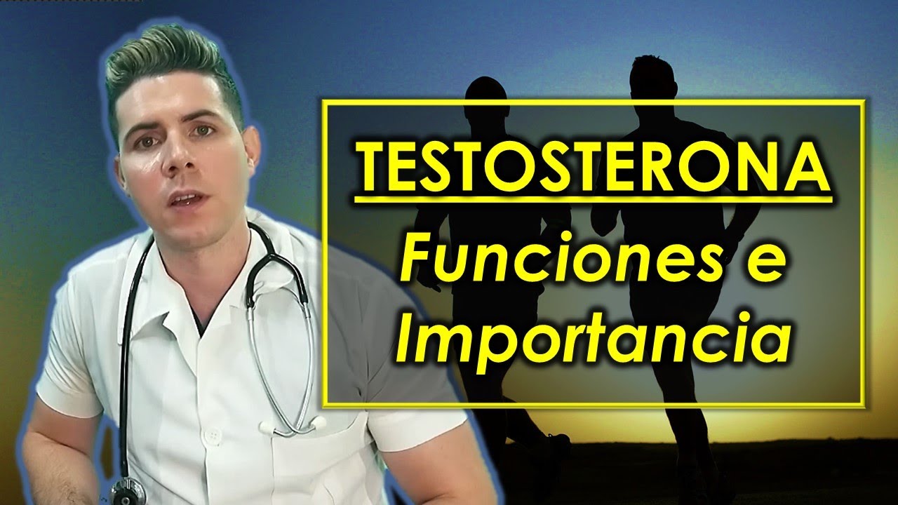 ¿Qué es la Testosterona? Funciones e importancia de la testosterona ...