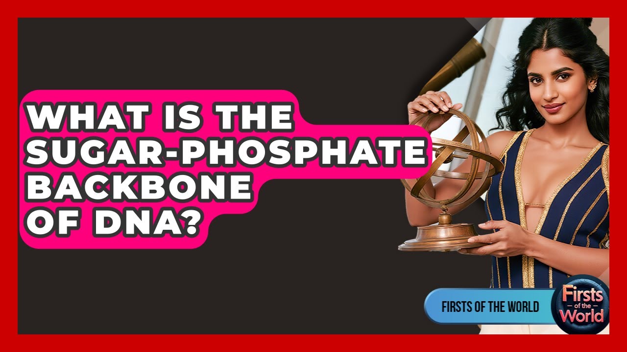 What Is The Sugar-Phosphate Backbone Of DNA? - Firsts of the World ...