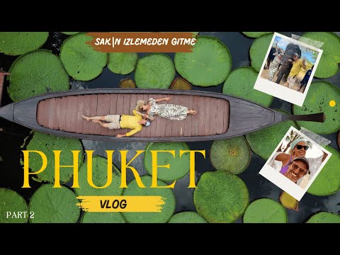 Don't Make Plans Without Watching / Things to Do and Must Do in Phuket / Islands, Nightlife, CafeP/2