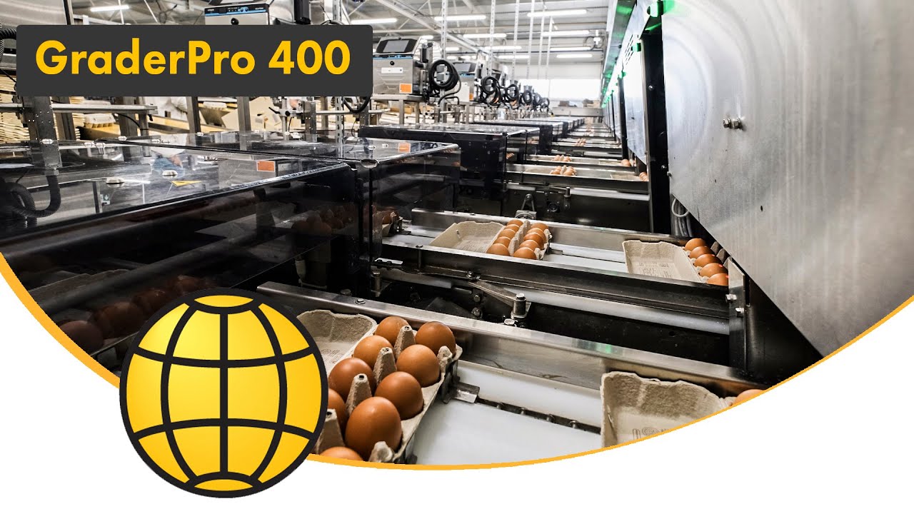 Automatic Egg Grading Machine (2025) | SANOVO GraderPro 400 in Action - YouTube