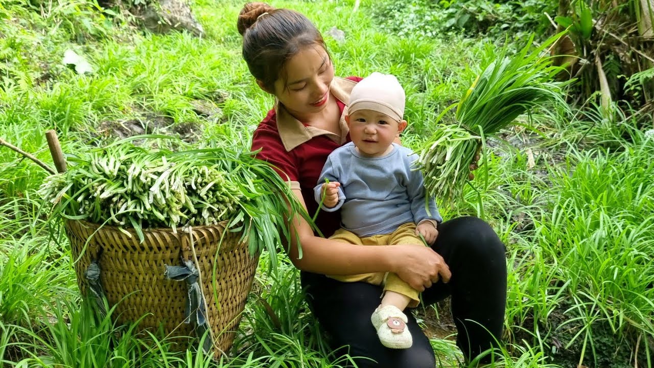 Duong and Be harvest the vegetable garden, Thom brings it to the market ...