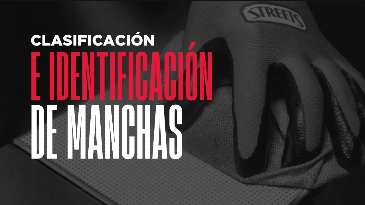 Clasificación e Identificación de Manchas | On the Spot™ with Street's ...