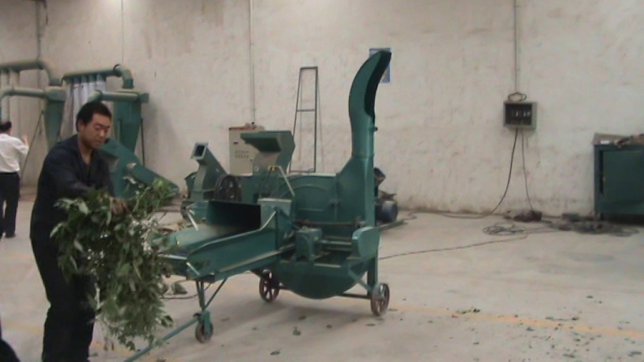 Tree branch leaves crushing machine - YouTube