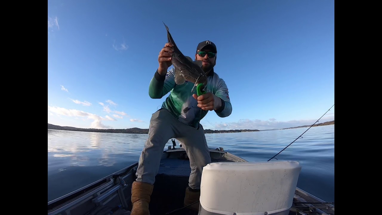 Lake Macquarie in July on Samaki vibes and divers - YouTube