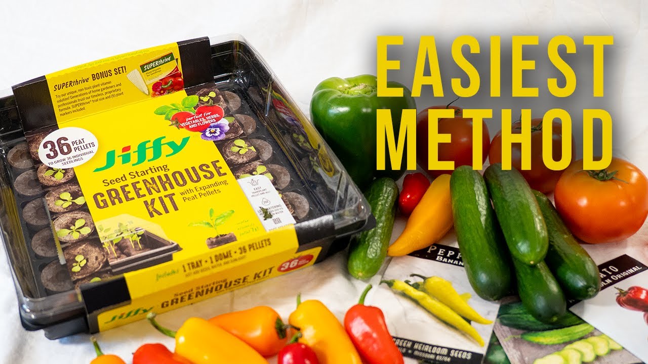 Easiest Way to Start Seeds Indoors 2026 - Complete Beginner's Guide ...