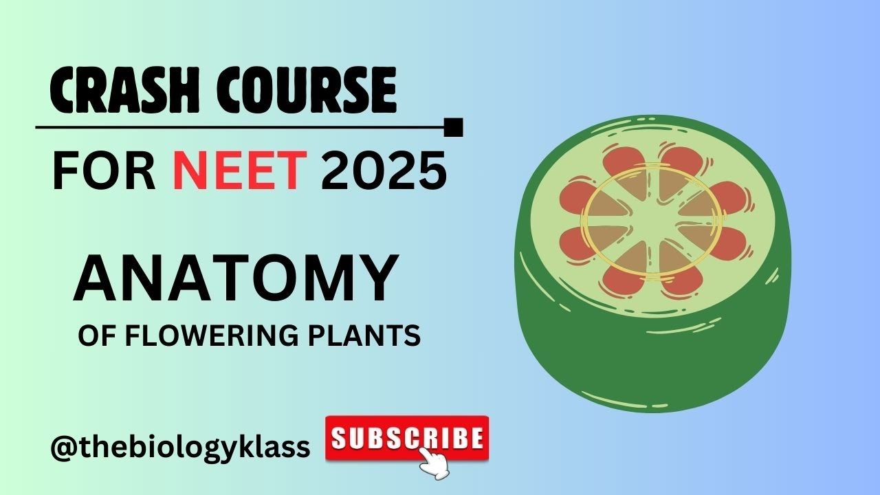 CRASH COURSE ANATOMY OF FLOWERING PLANTS PART 2 - NEET 2025 CBSE BOARD ...